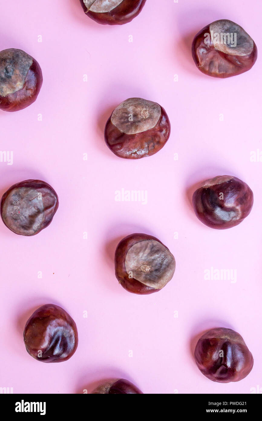 Geometric pattern with chestnut seeds, autumn pink background Stock ...