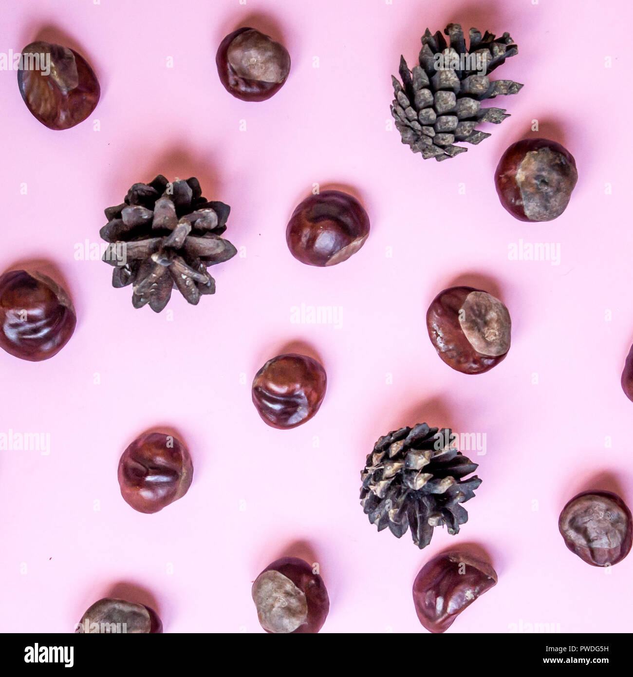 Pine cone symmetry hi-res stock photography and images - Alamy