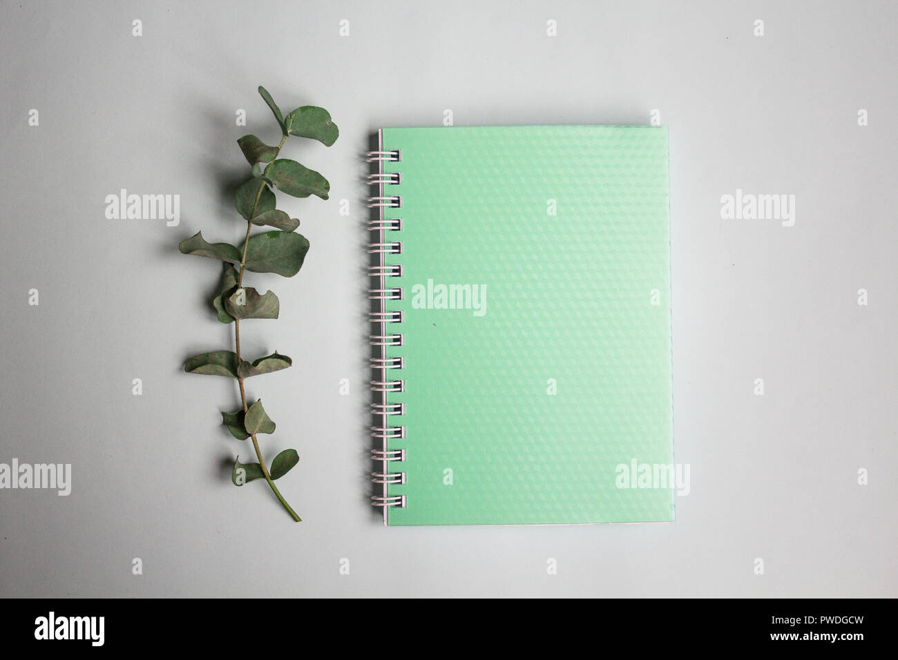Flat lay pastel composition. background with mint colored notepad and ...