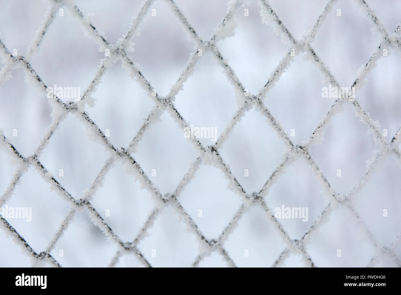 Frozen lattice fence. Snow covered grid. Winter hoarfrost Stock Photo ...