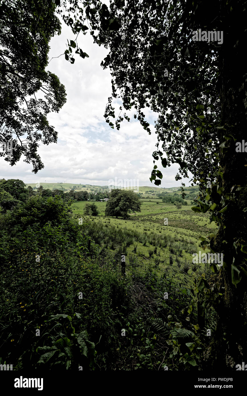 Llangurig is a village and community in Montgomeryshire, Powys, Wales ...