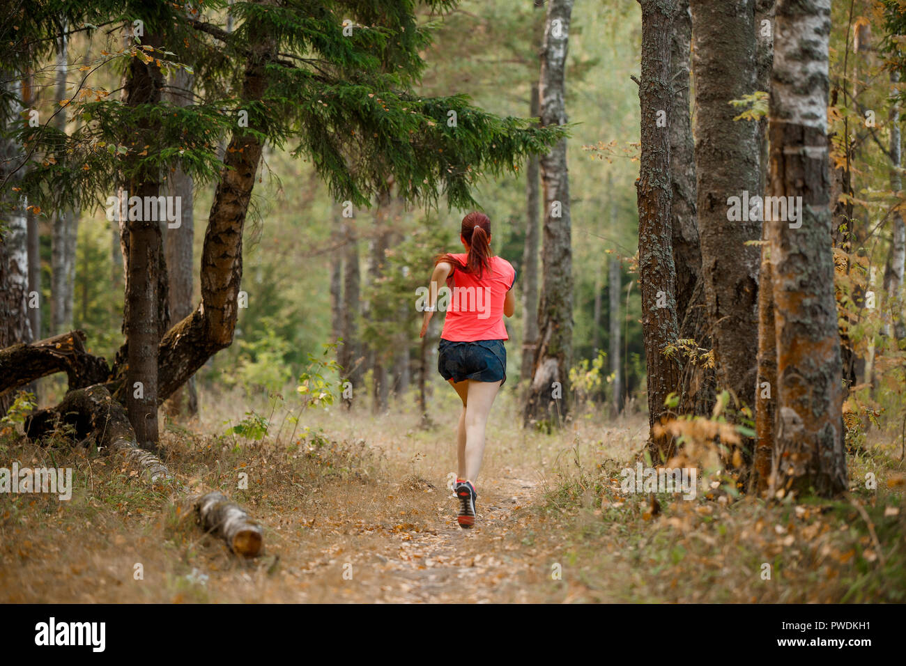 Photo from back of sports woman running through park Stock Photo - Alamy
