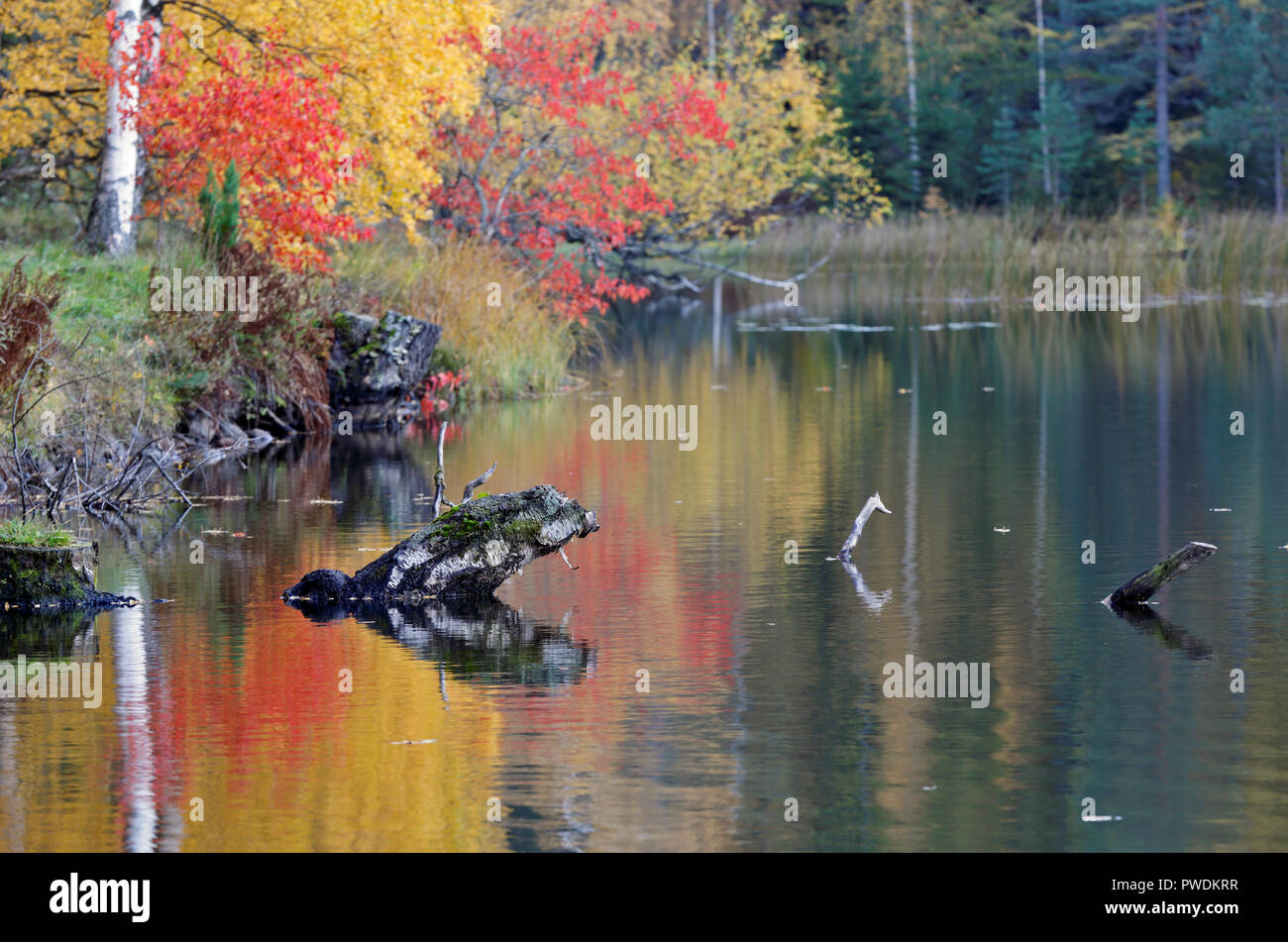 Finnish colours hi-res stock photography and images - Alamy