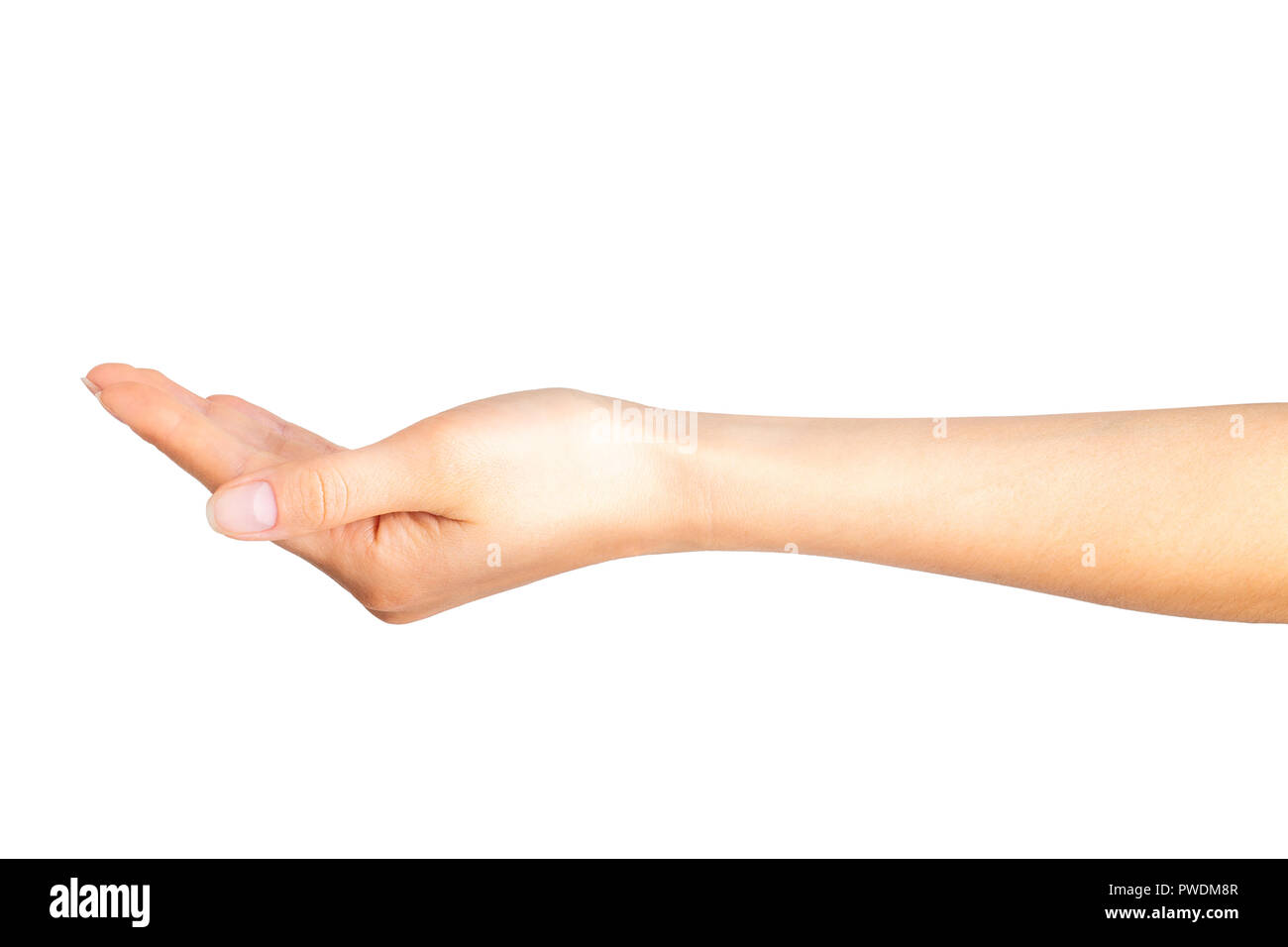 Woman showing open hand or holding something. Isolated with clipping ...