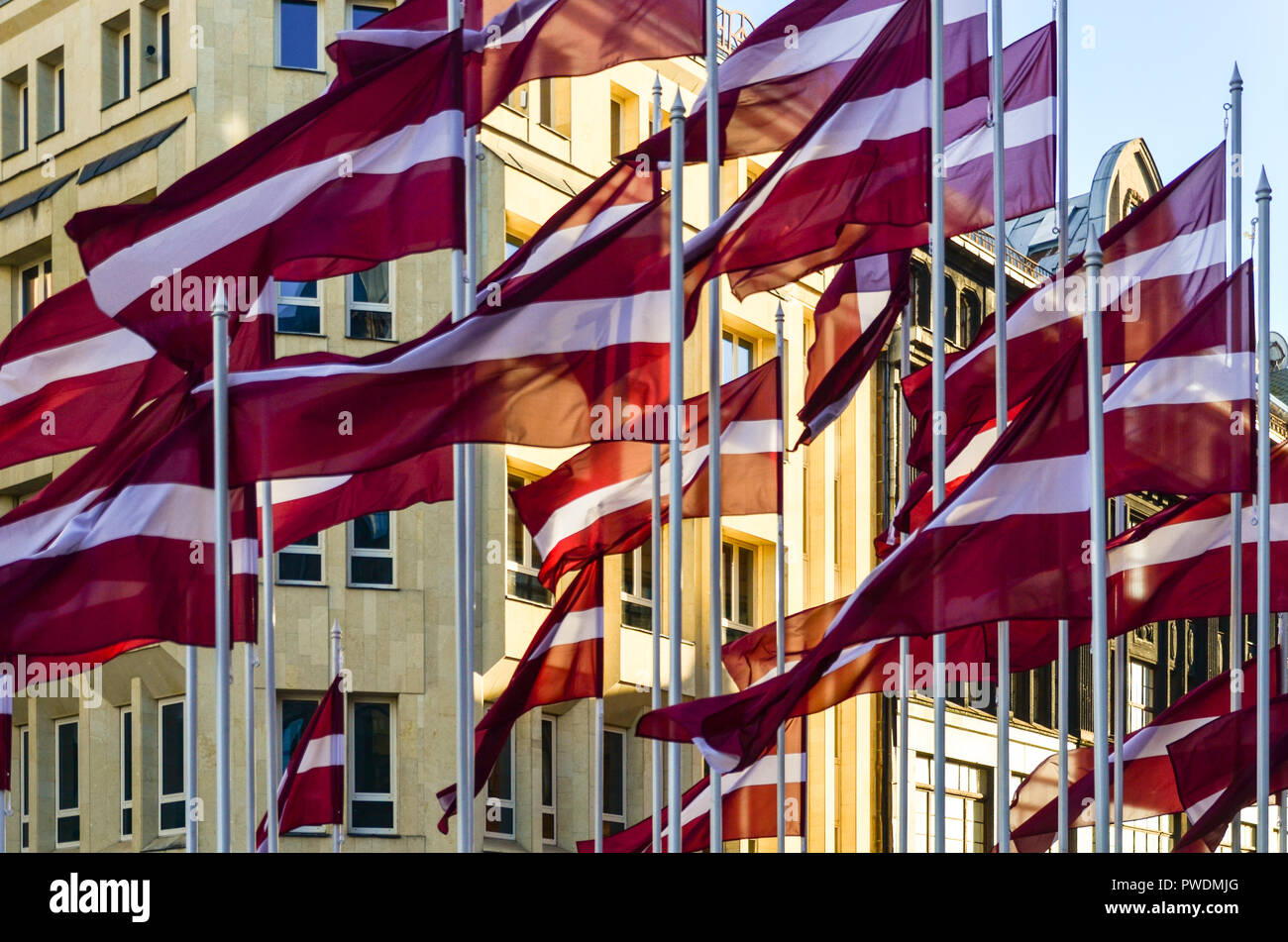 Latvian flags flying in Riga, Latvia Stock Photo - Alamy