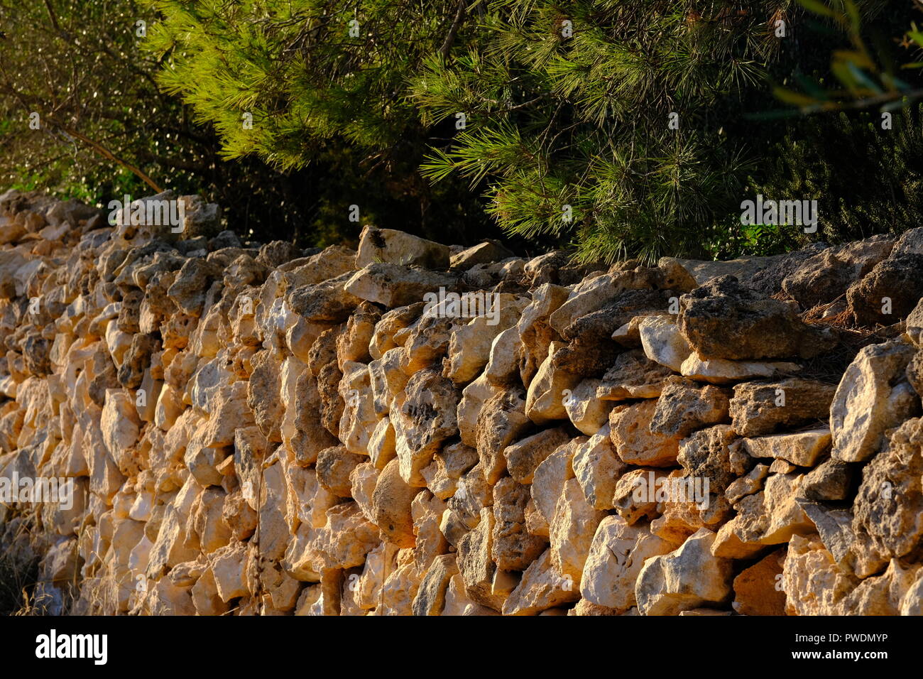 Traditional spainish menorcan stone walls Woodland walk through trees ...