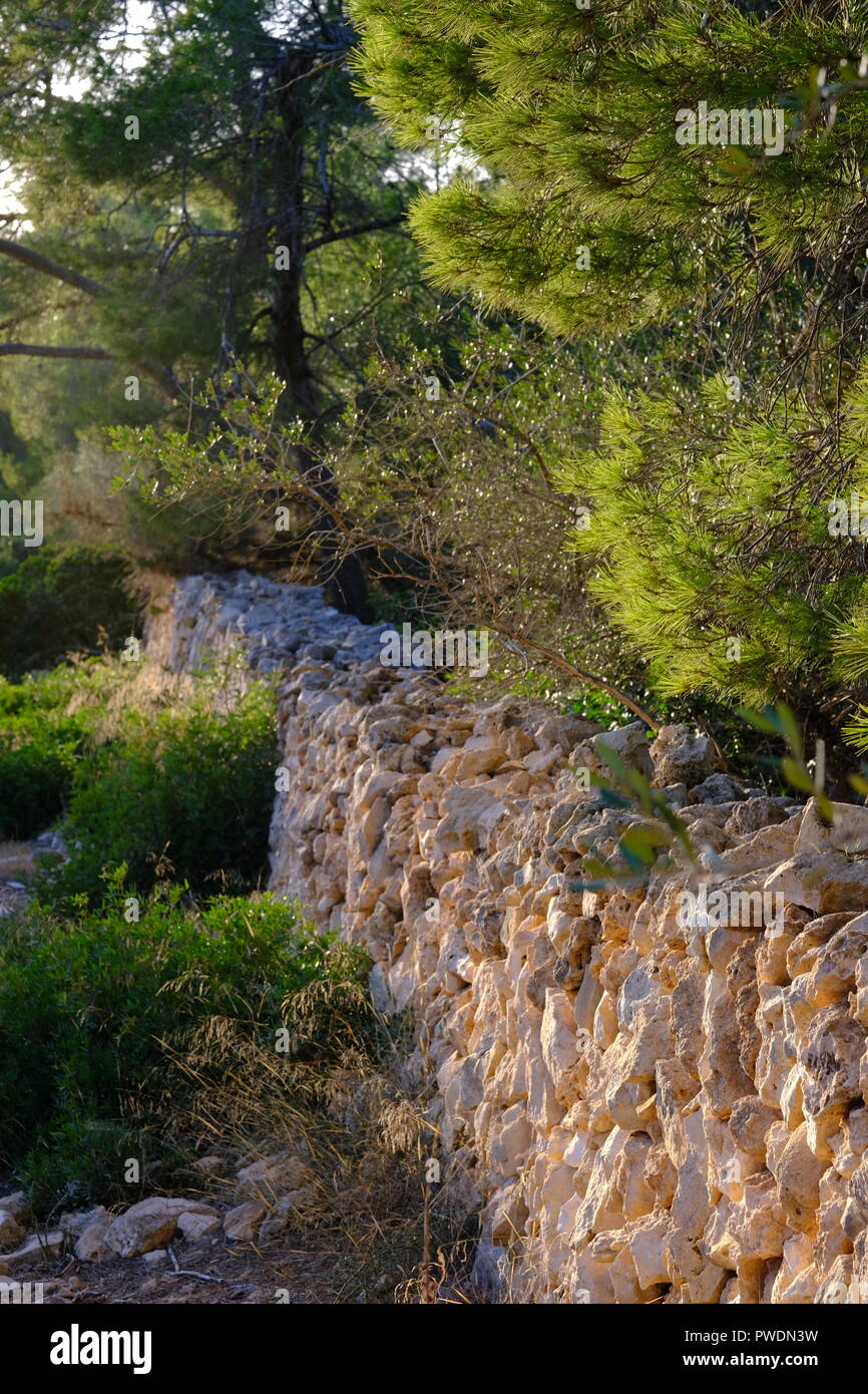 Traditional spainish menorcan stone walls Woodland walk through trees ...