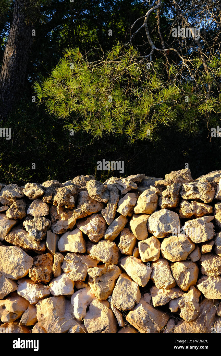 Traditional spainish menorcan stone walls Woodland walk through trees ...