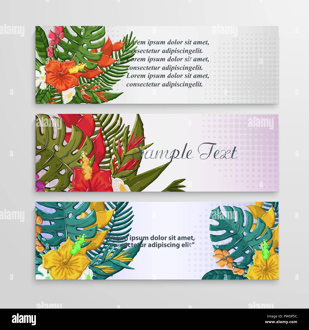 Vector tropical flower background,banner,template isolated Stock Vector ...