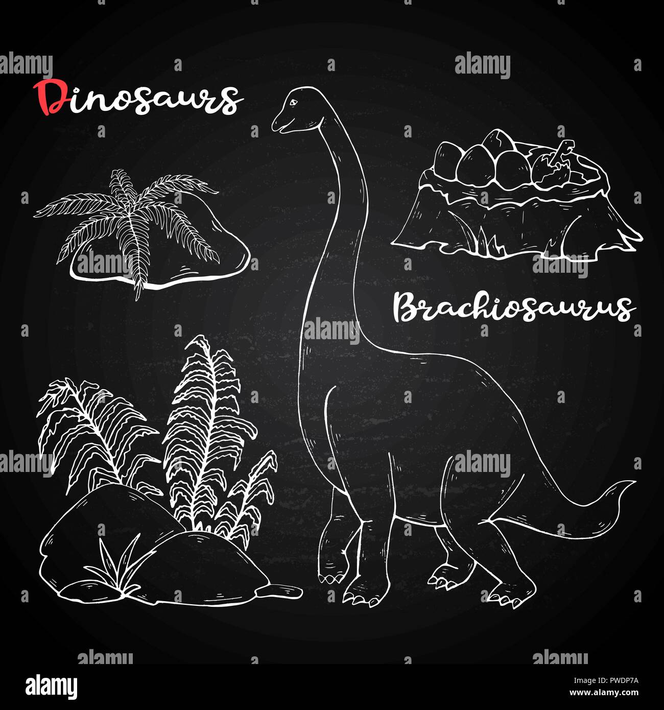 Vector Brachiosaurus with plant and stone on chalk blackboard Stock ...