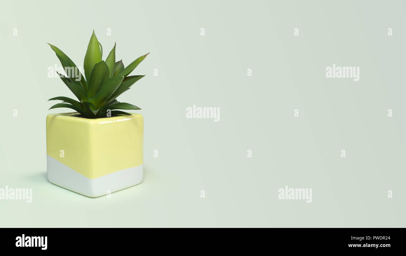 Square potted plant hi-res stock photography and images - Alamy