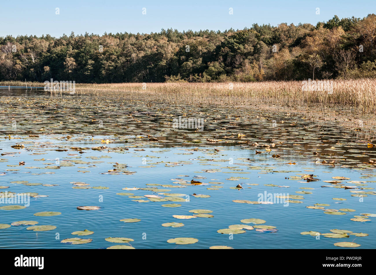 Ostdeutschland hi-res stock photography and images - Alamy