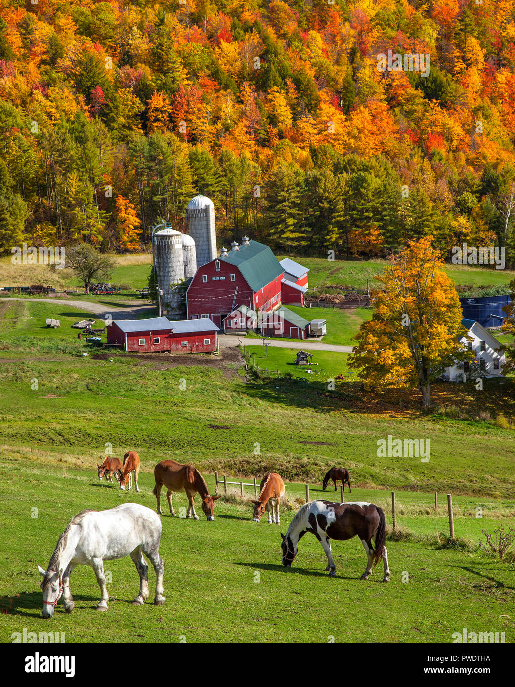 Barn autumn usa hi-res stock photography and images - Alamy