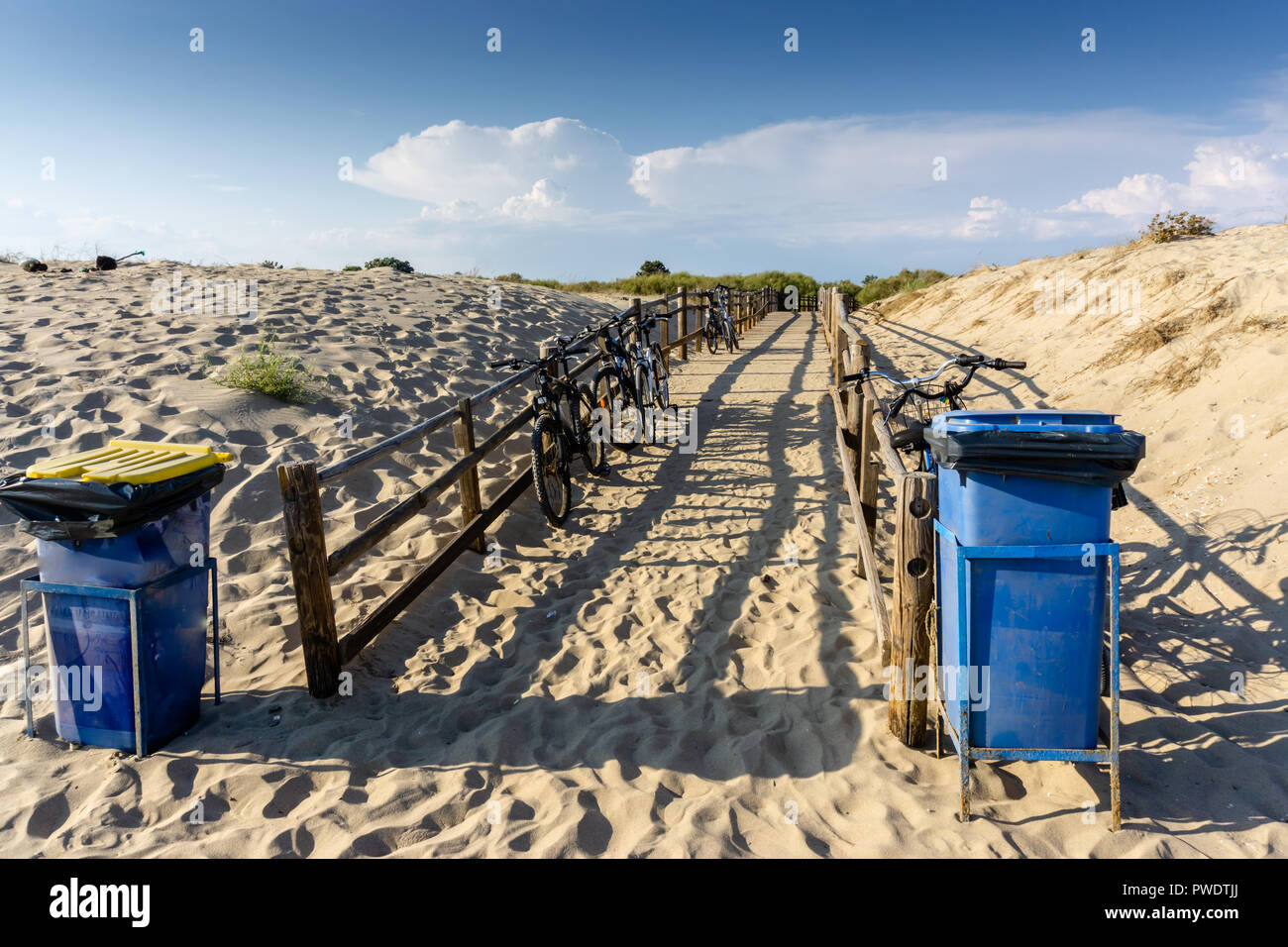 Bicycles on sandy beach trail Stock Photo - Alamy