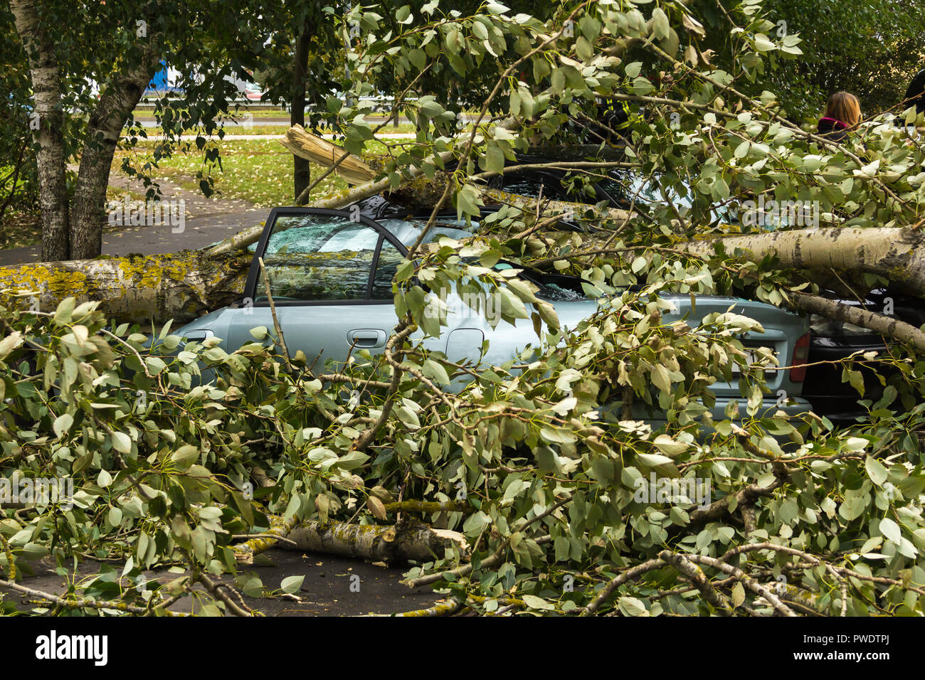 Car parked under tree hi-res stock photography and images - Alamy