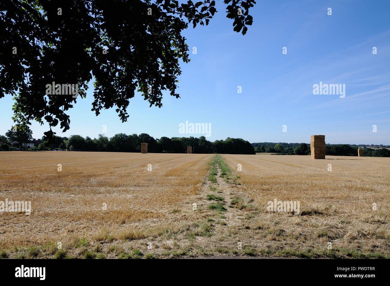 View across fields, Datchworth, Hertfordshire Stock Photo - Alamy