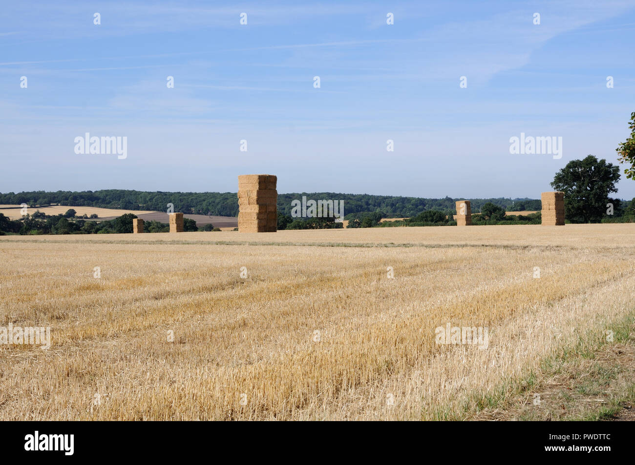 View across fields, Datchworth, Hertfordshire Stock Photo - Alamy