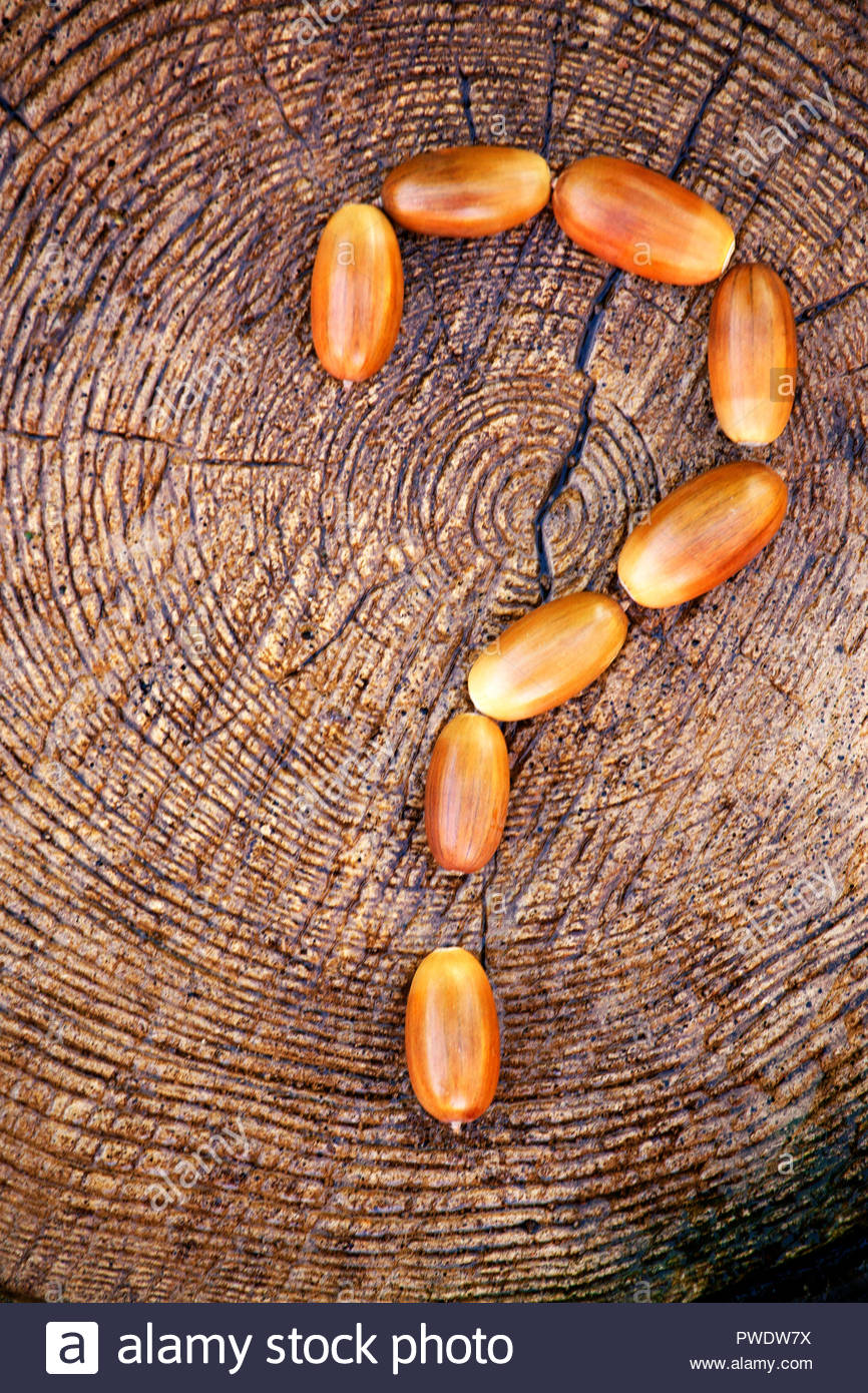 Acorn Symbol Stock Photos & Acorn Symbol Stock Images - Alamy