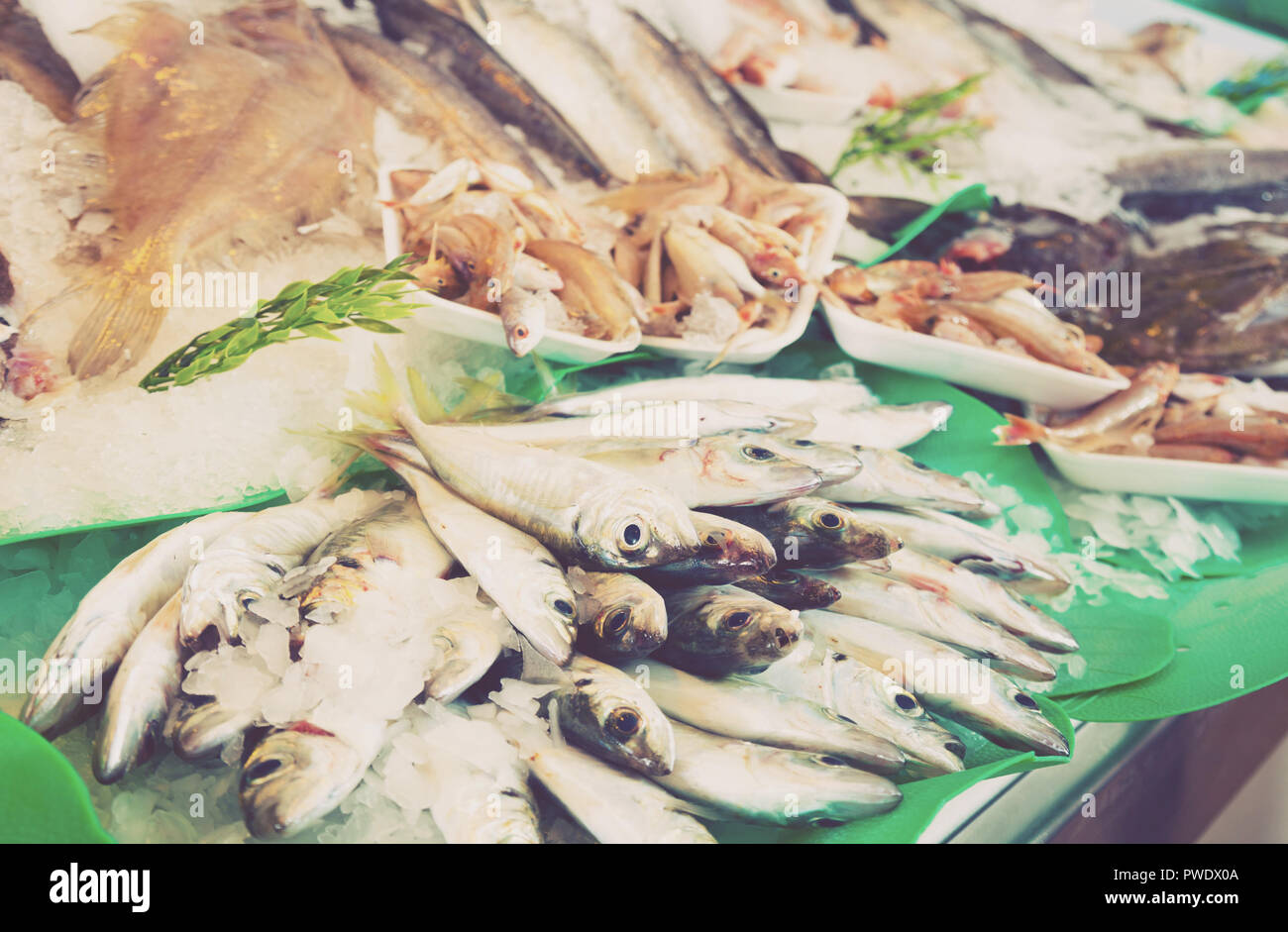 fresh fish on market seafood counter, close up Stock Photo - Alamy