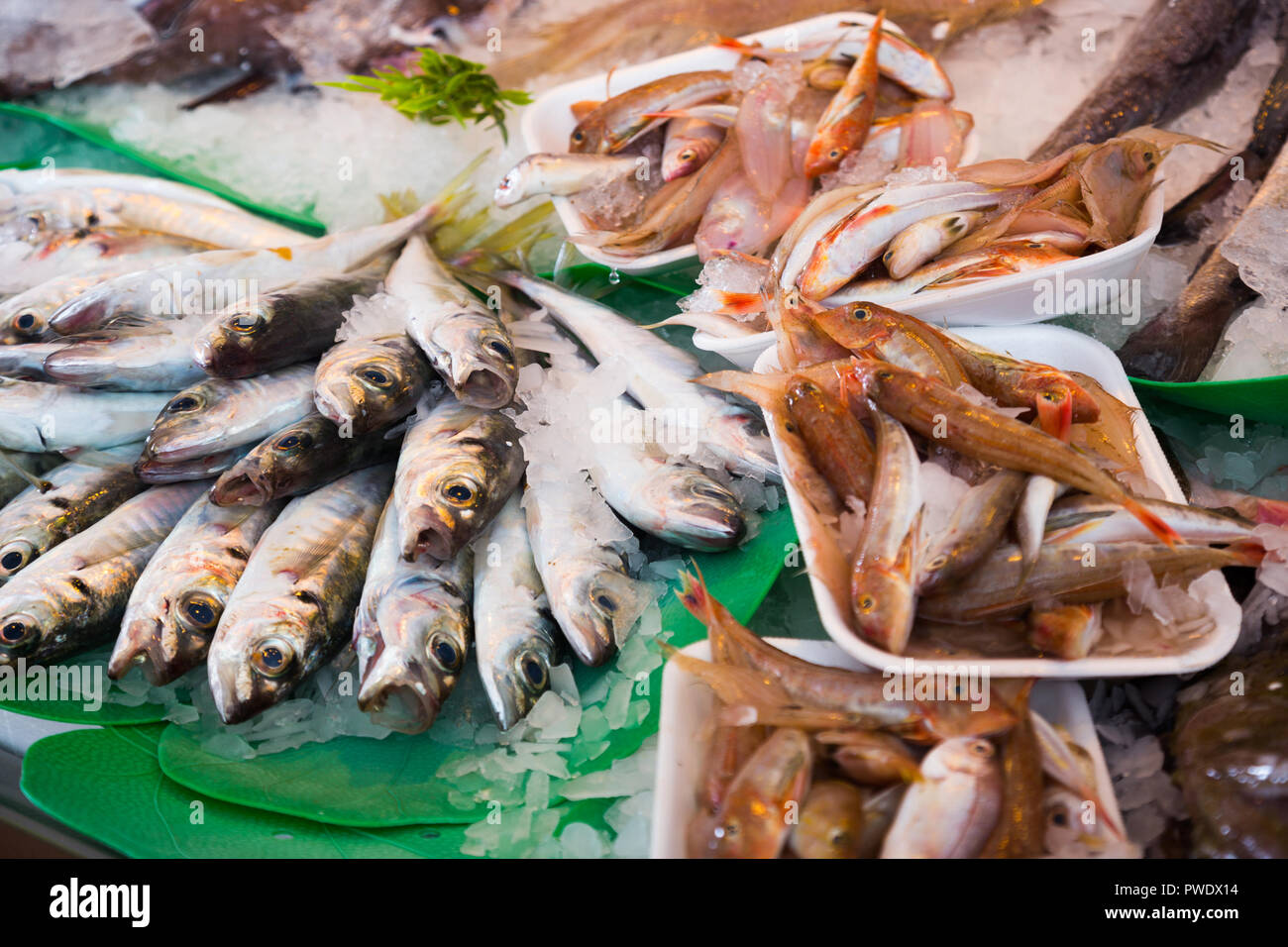 fresh fish on market seafood counter, close up Stock Photo - Alamy