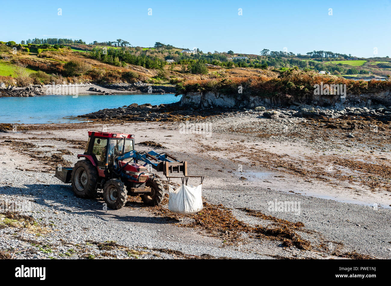 Collecting beach rocks hi-res stock photography and images - Alamy
