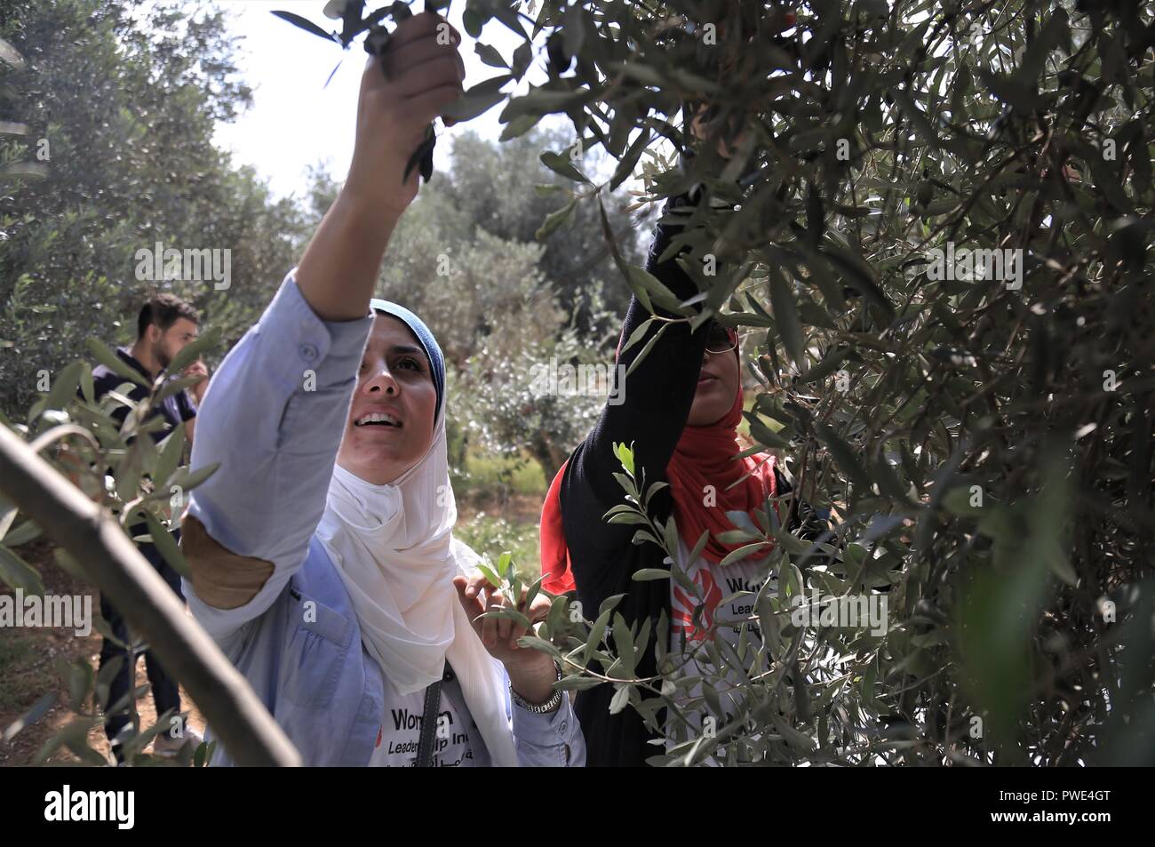 East Gaza City, The Gaza Strip, Palestine. 15th Oct, 2018. Palestinian ...