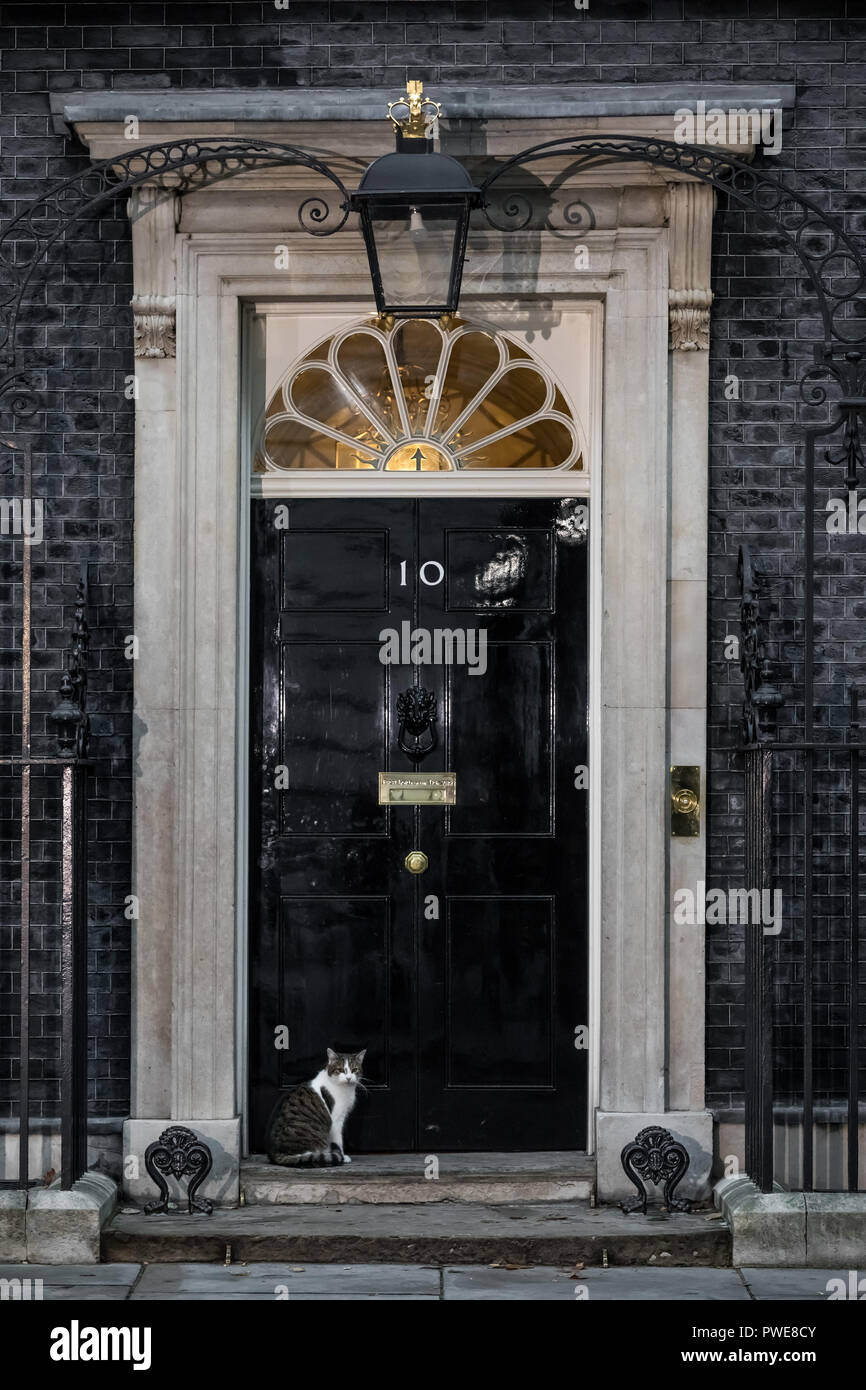 Chief mouser to the cabinet office larry the cat, in downing street ...