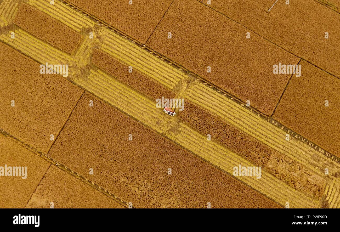 Wangtan hi-res stock photography and images - Alamy