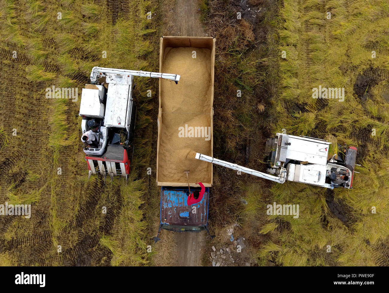 Wangtan hi-res stock photography and images - Alamy