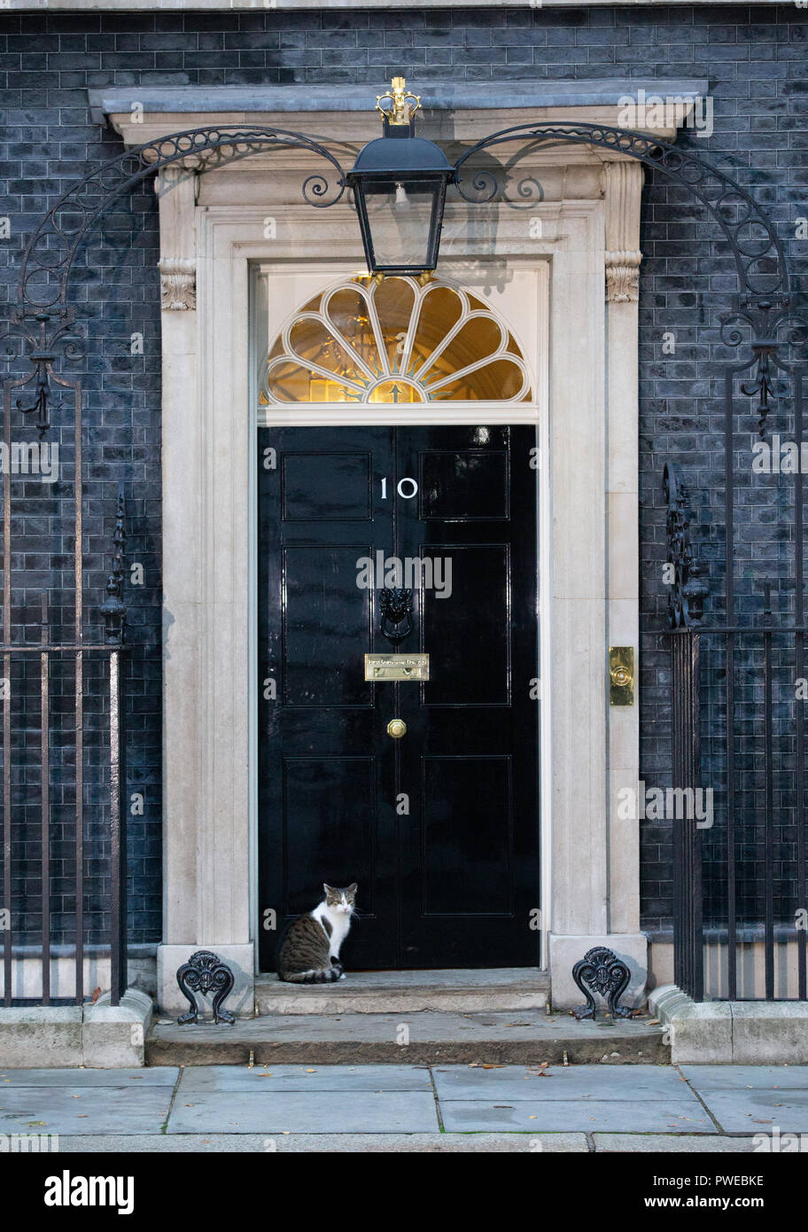 Larry the number 10 cat hi-res stock photography and images - Alamy