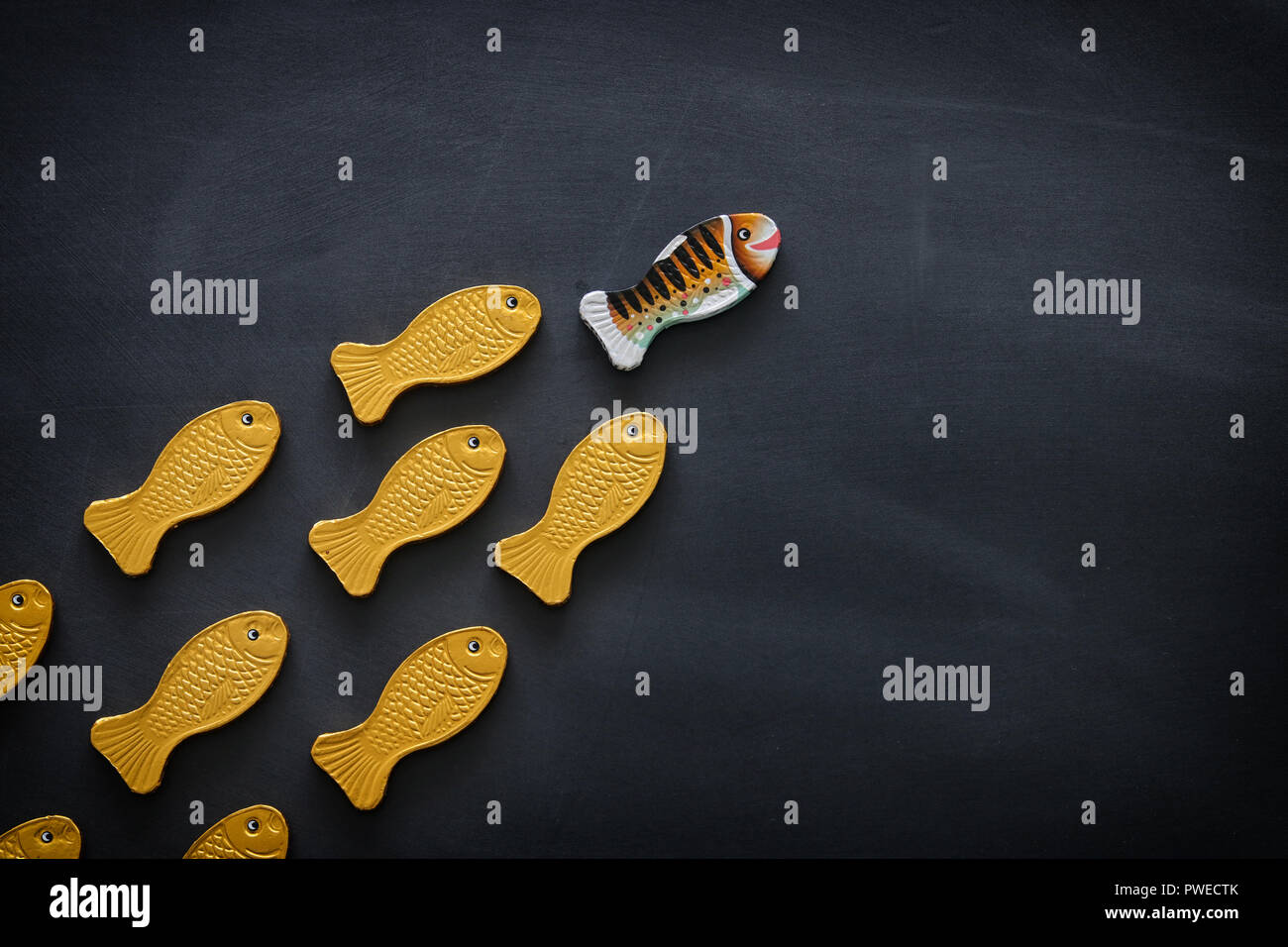 Leadership concept with swimming fish over blackboard background. One ...