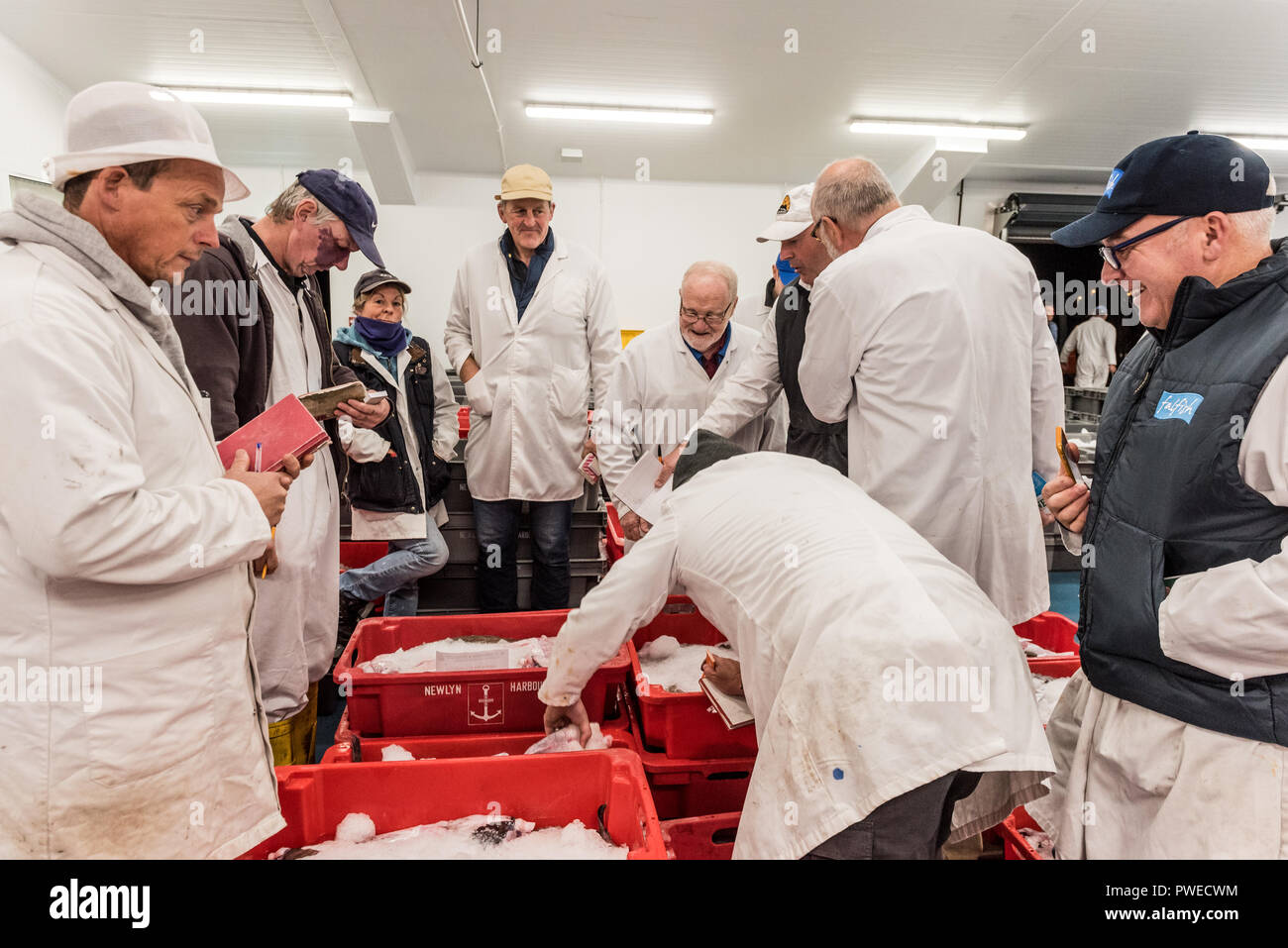 Newlyn fish market auction Cornwall Stock Photo - Alamy