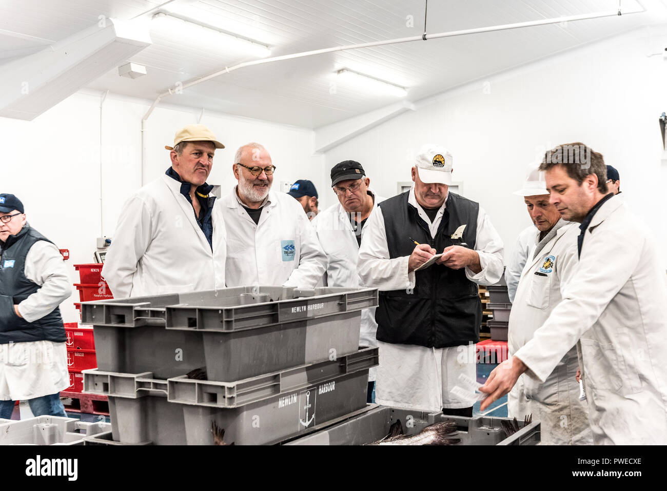 Newlyn fish market auction Cornwall Stock Photo - Alamy