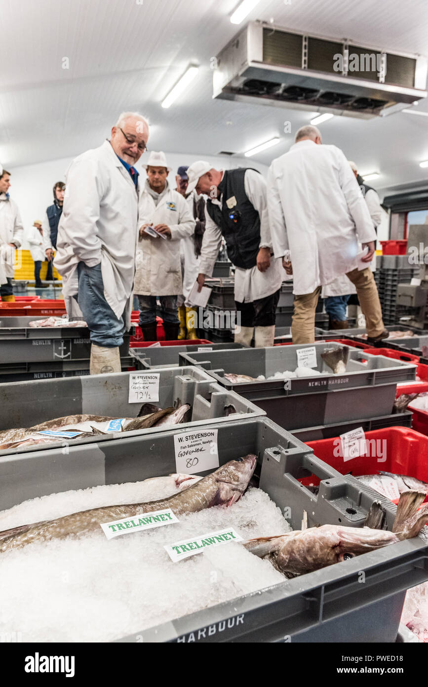 Newlyn fish market auction Cornwall Stock Photo - Alamy