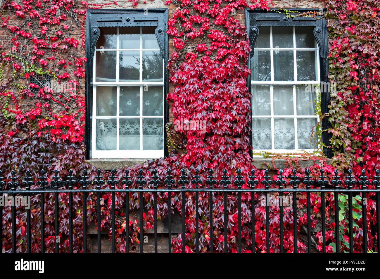A Georgian house with wooden sliding sash windows covered in various ...