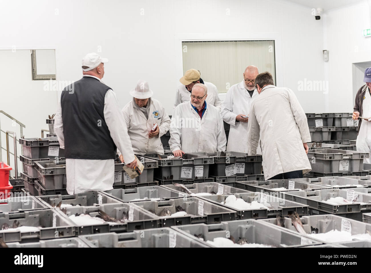 Newlyn fish market auction Cornwall Stock Photo - Alamy