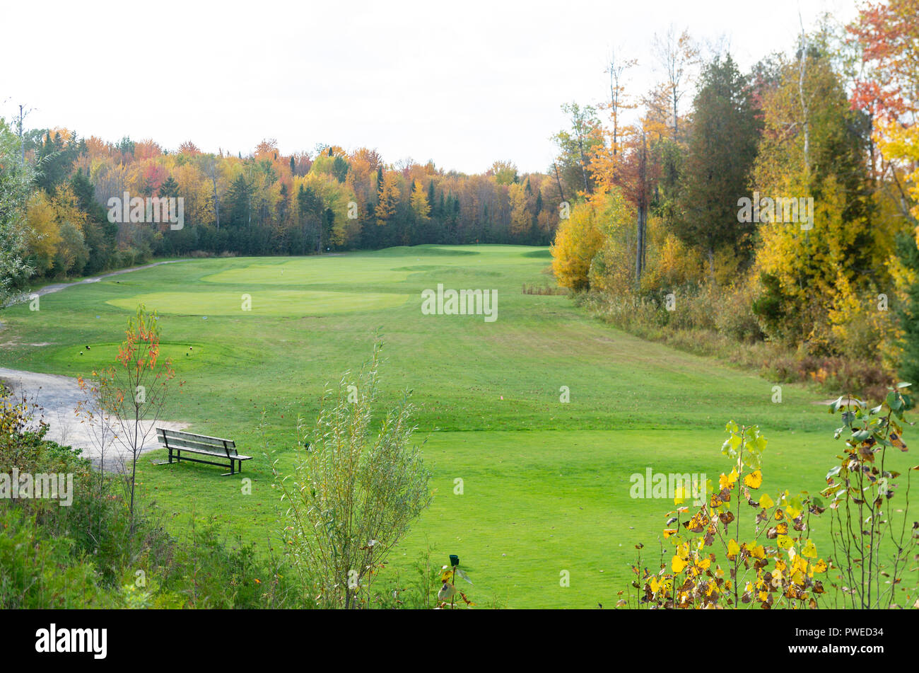 Playing golf and enjoying the beautiful Fall colours makes a pleasant ...