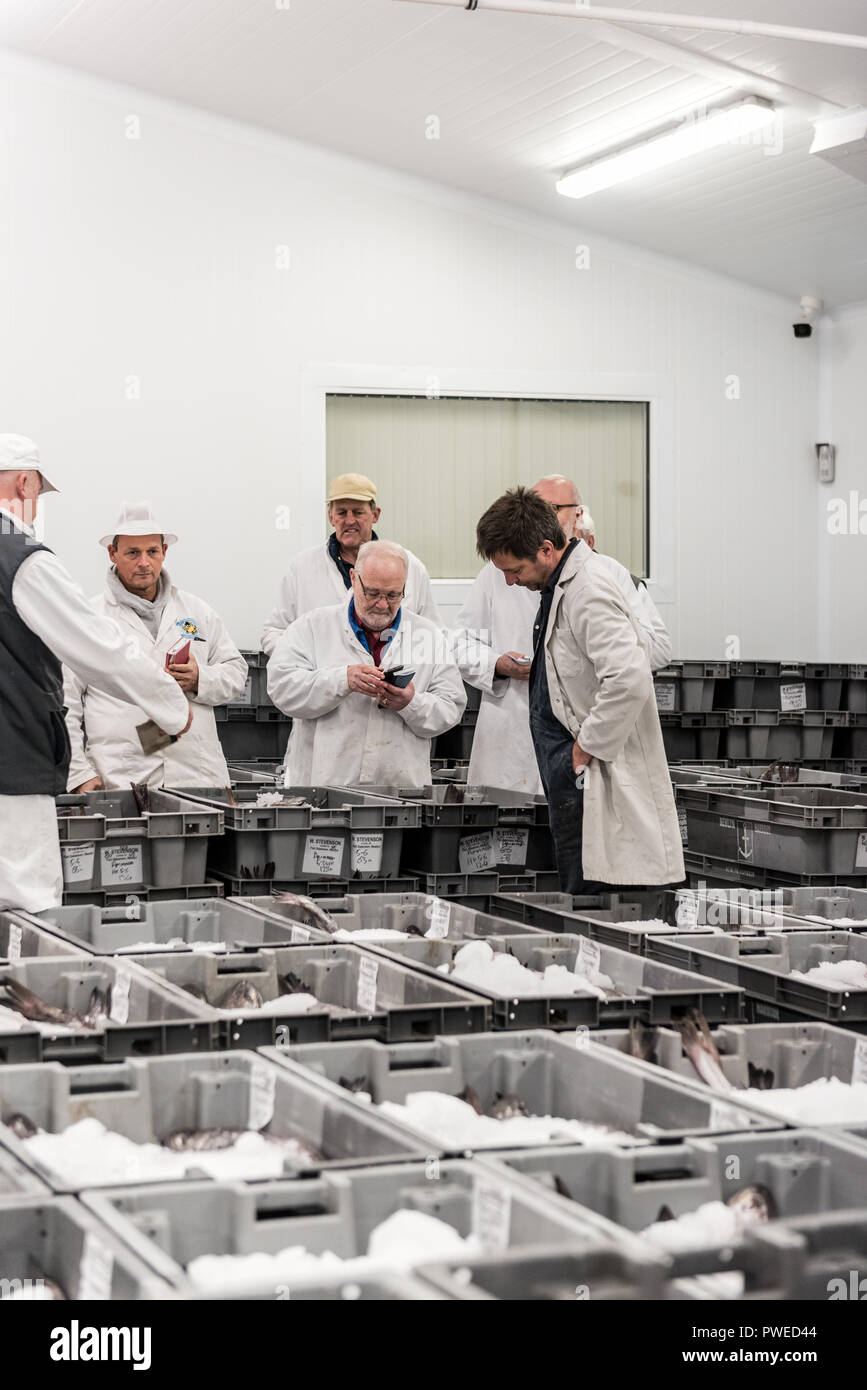 Newlyn fish market auction Cornwall Stock Photo - Alamy