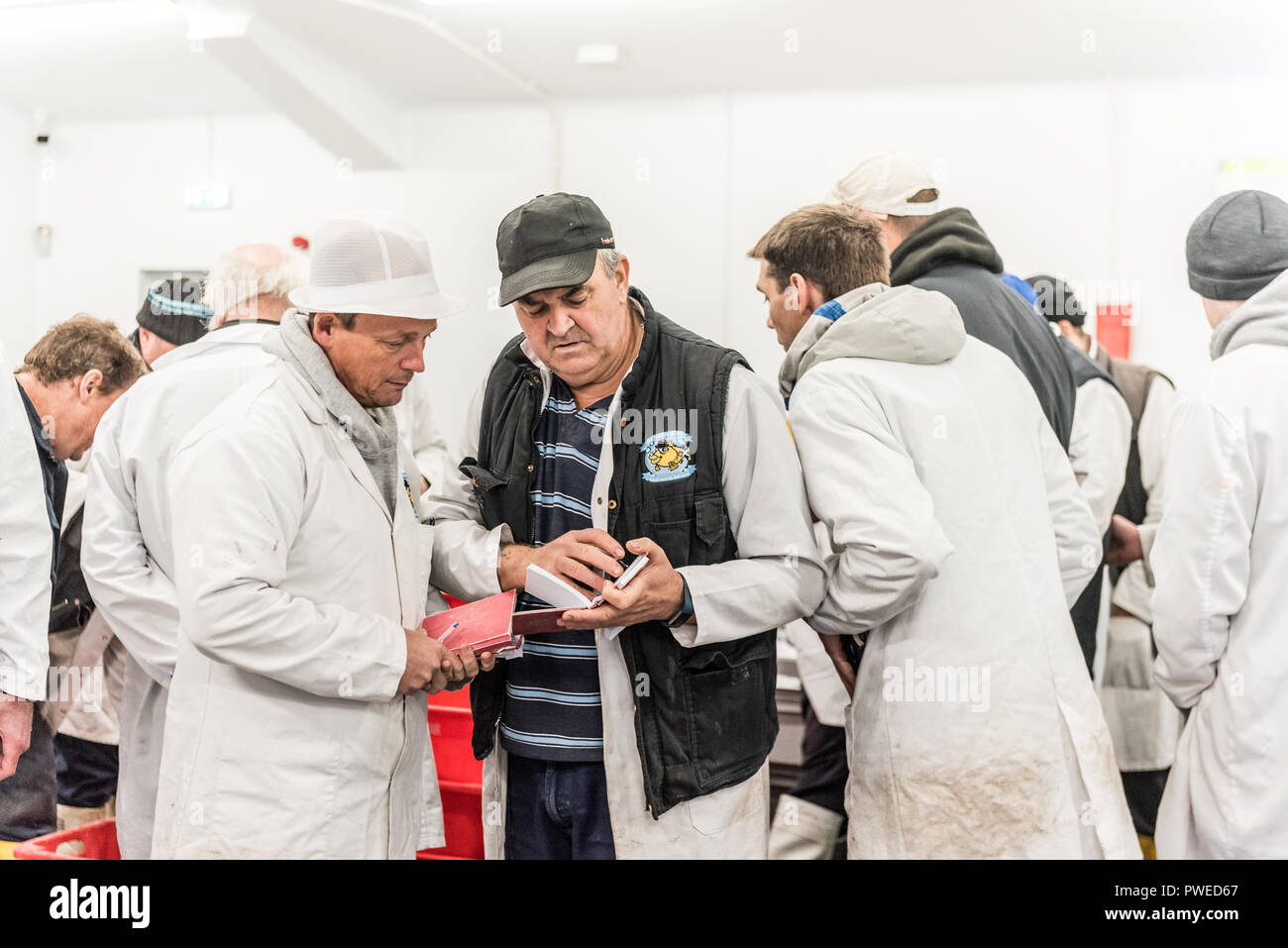 Newlyn fish market auction Cornwall Stock Photo - Alamy