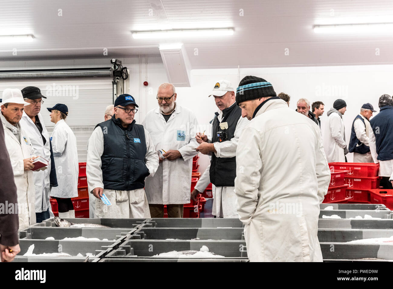 Newlyn fish market auction Cornwall Stock Photo - Alamy