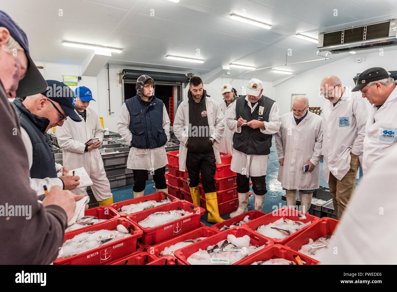 Newlyn fish market hi-res stock photography and images - Alamy