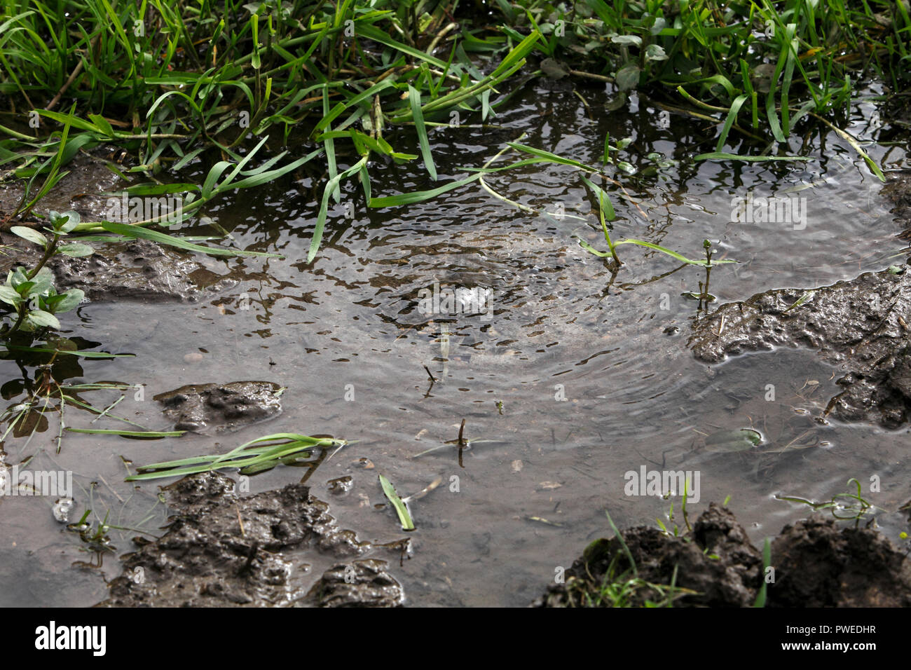 Aquifer hi-res stock photography and images - Alamy