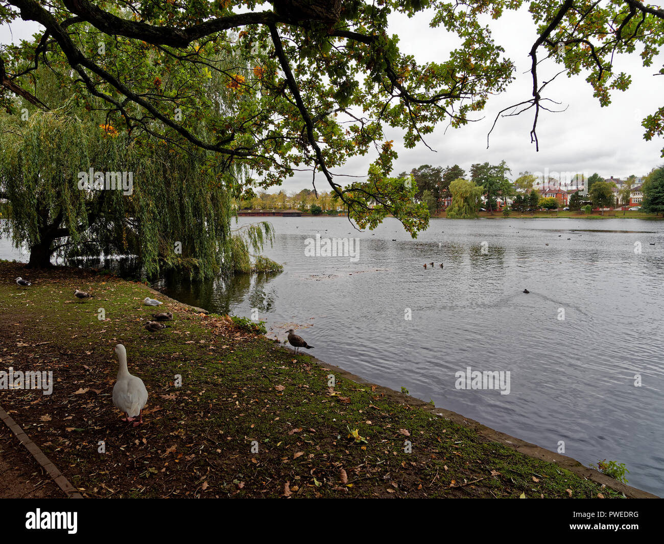 Visitors park autumn uk hi-res stock photography and images - Alamy