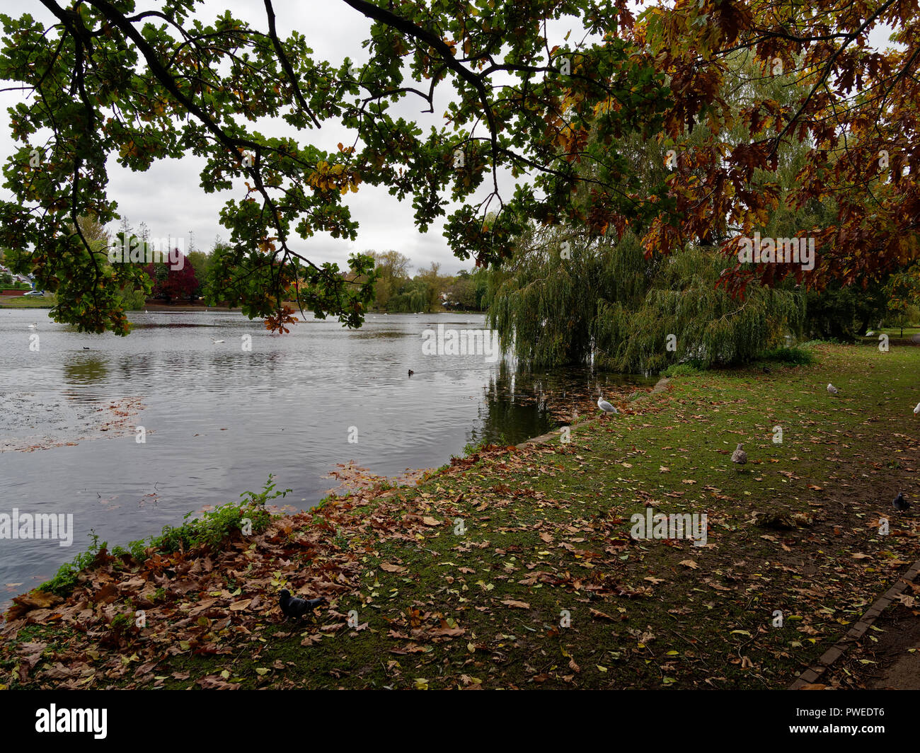 Visitors park autumn uk hi-res stock photography and images - Alamy