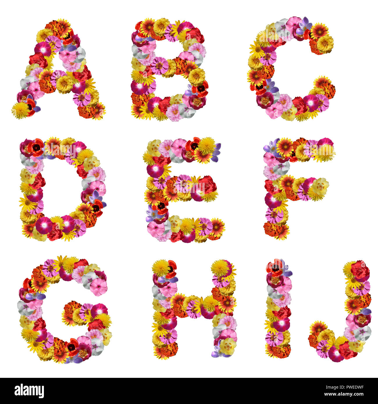 alphabet of flowers isolated on a white background Stock Photo - Alamy