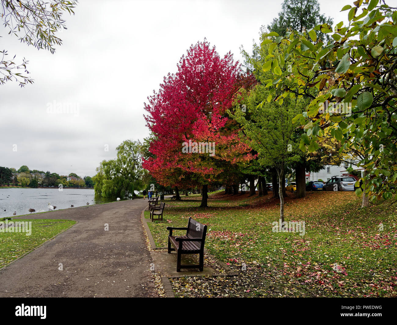 Visitors park autumn uk hi-res stock photography and images - Alamy