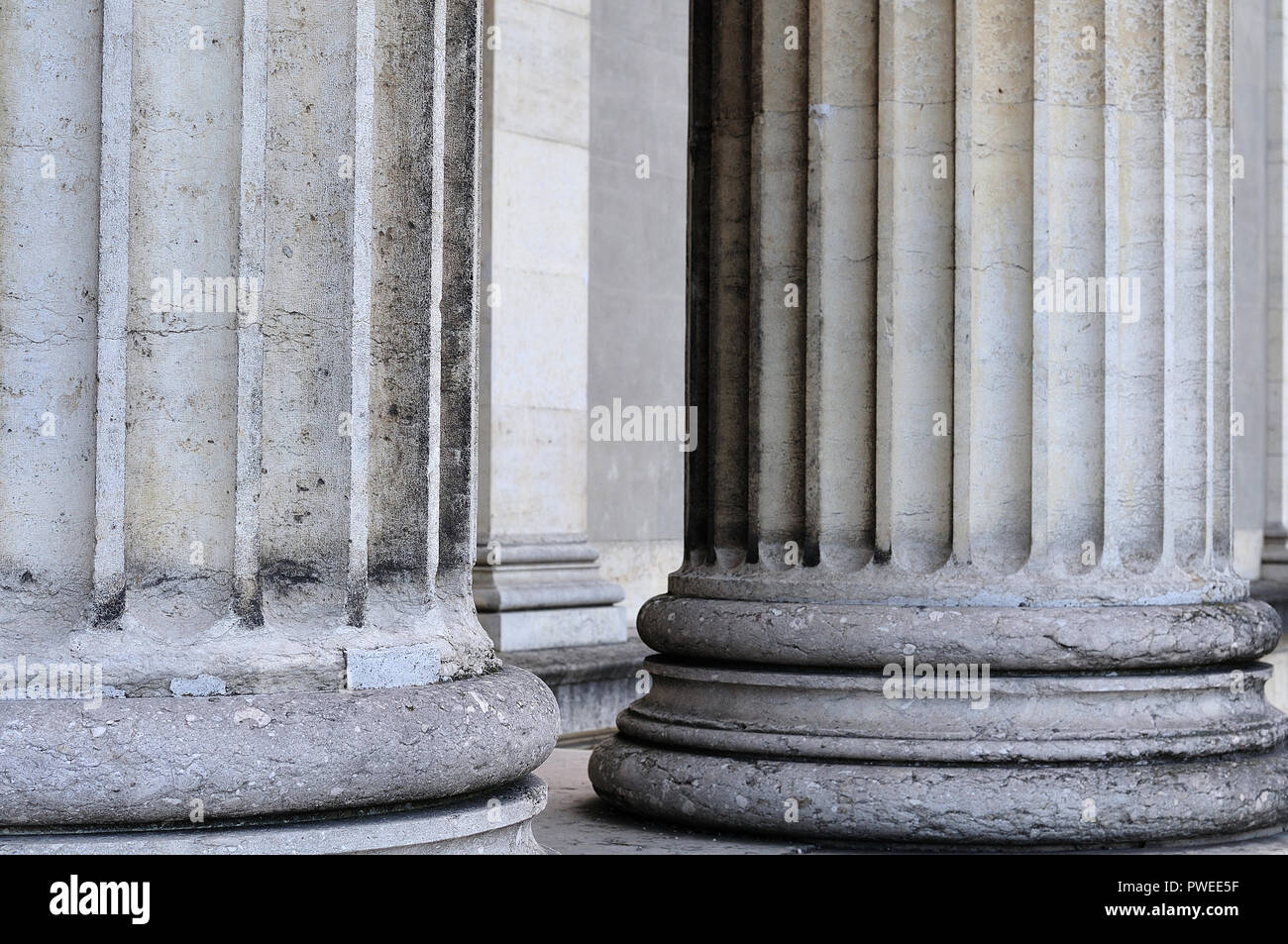 close-up of classical ionic columns with base and shaft with entasis, a ...