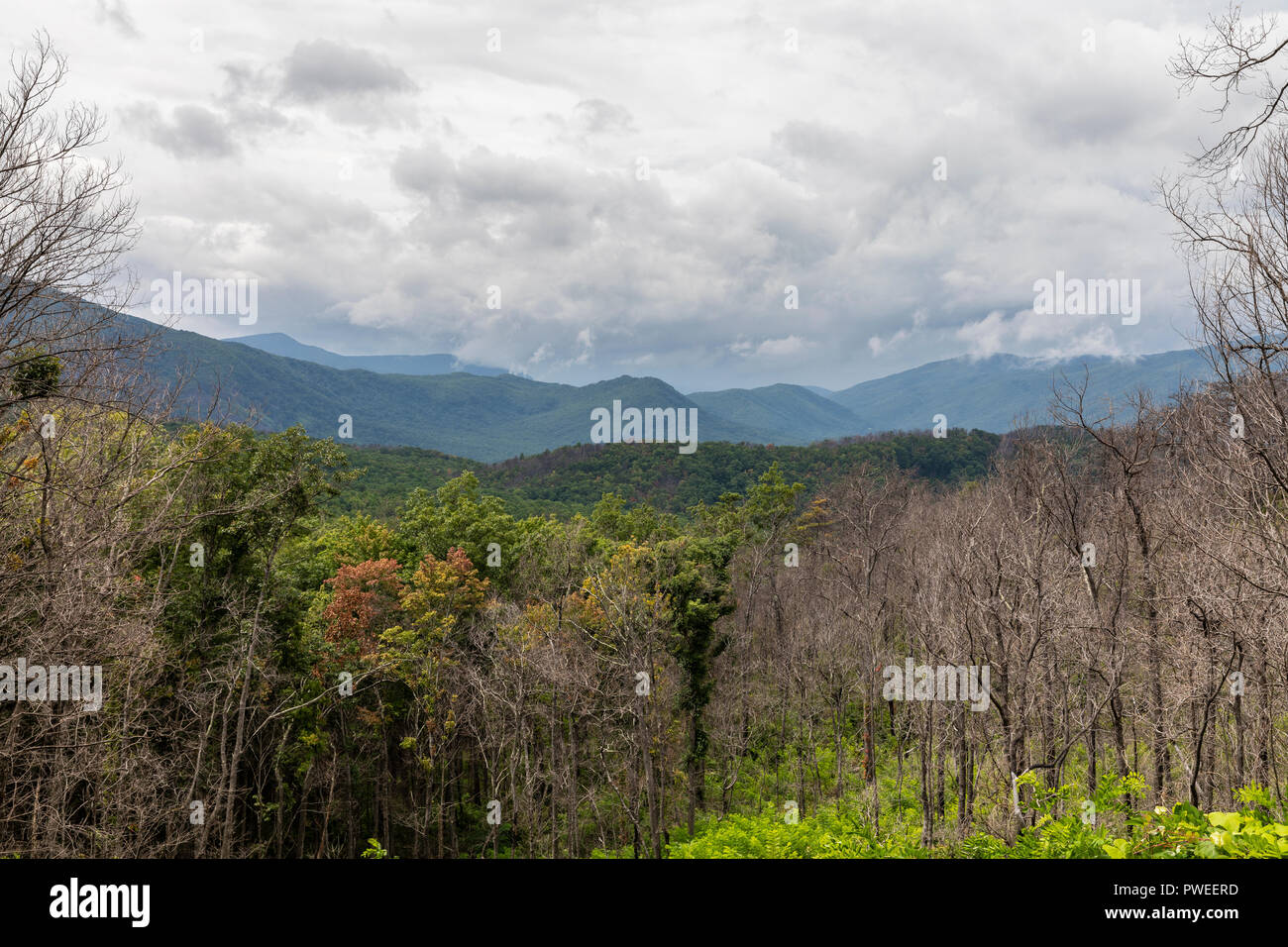 Smoky Mountains Scenic Landscape Stock Photo - Alamy