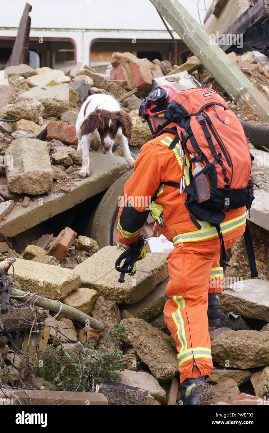 Search and rescue dog hi-res stock photography and images - Alamy