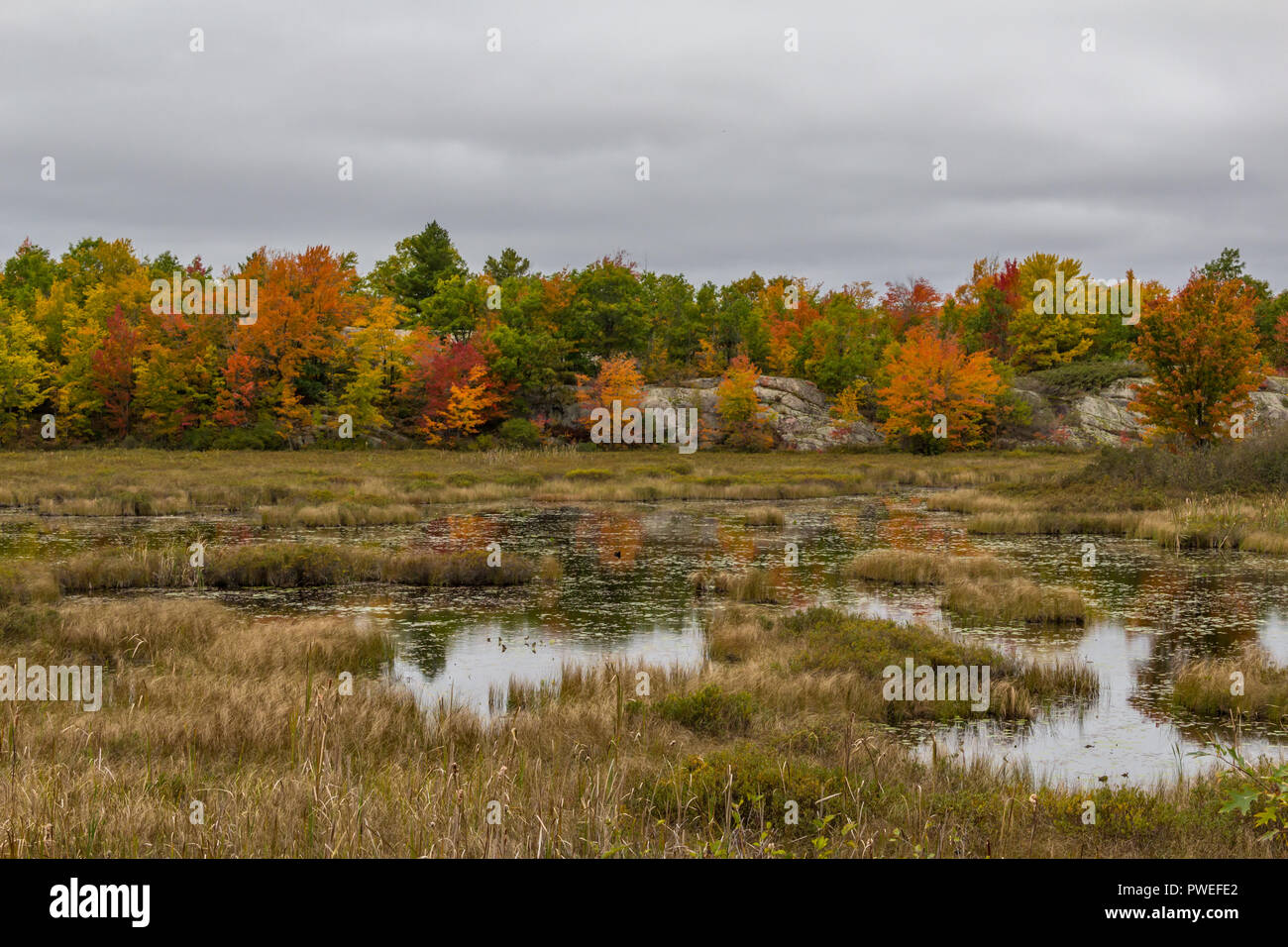 Fall Scenic Landscape, Marsh, Cloudy Sky Stock Photo - Alamy